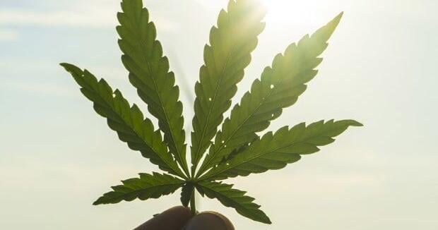 Summerville bros sentenced on state charges for Viagra ring