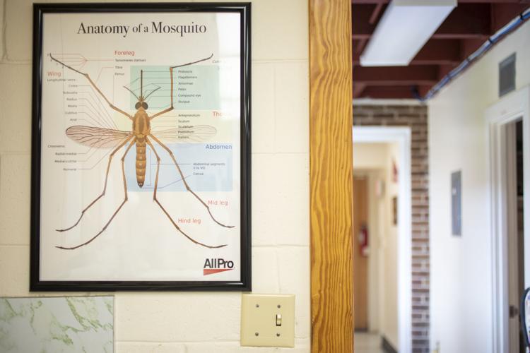 Photos: Mosquito Lab fights flying pests and their diseases through ...