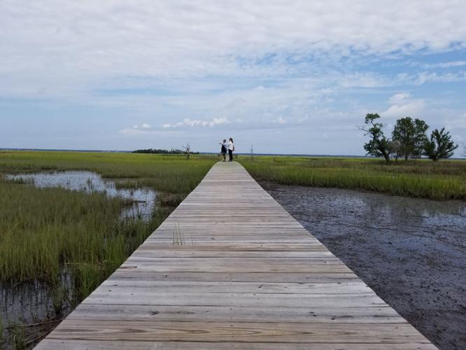 The wild allure of Dewees Island