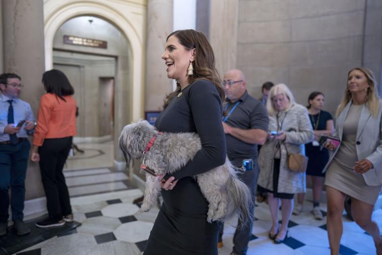 Catherine Templeton new standard bearer for Nancy Mace foes