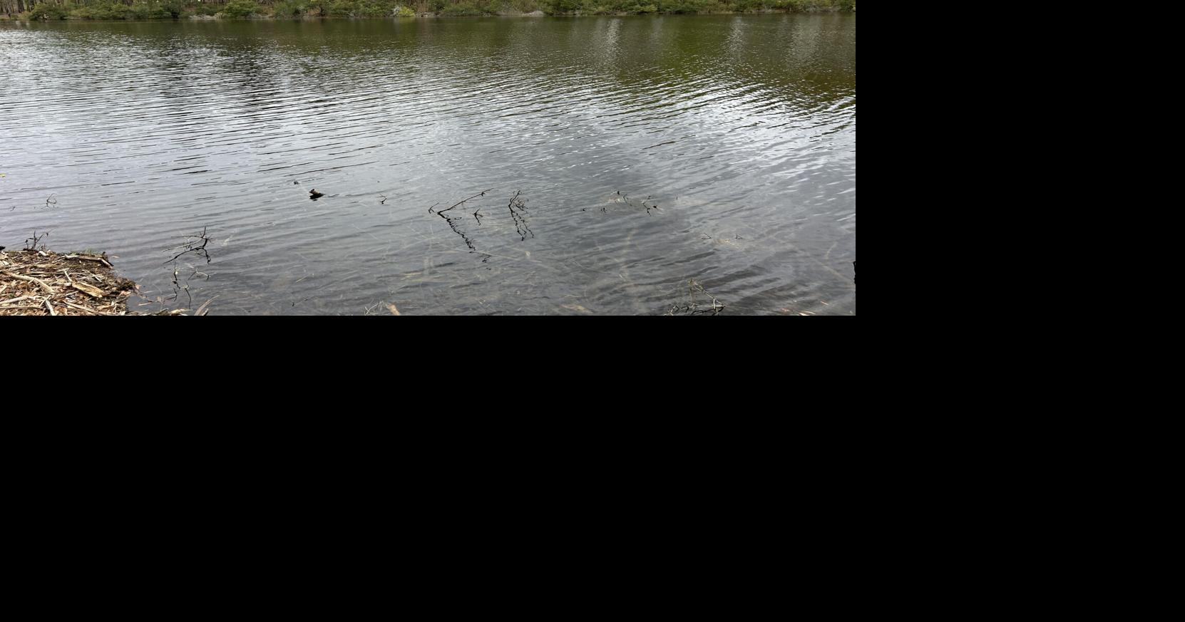 FMU Freshwater Ecology Complex opens trails, lake to public