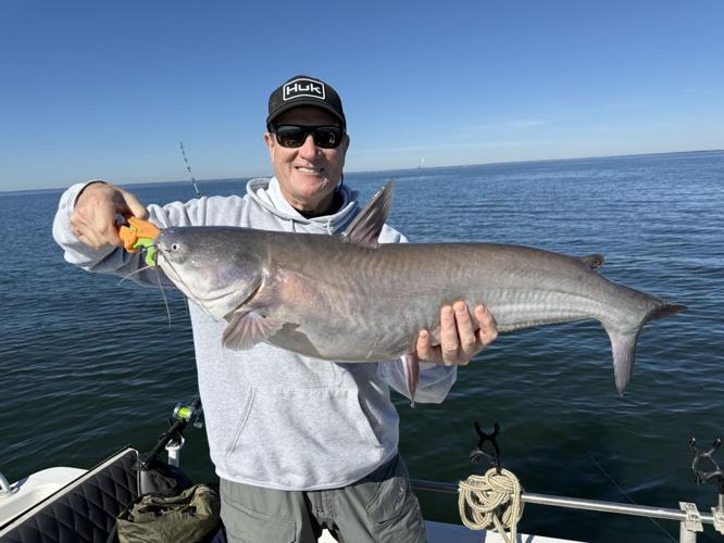 Catfish, striped bass combo fishing on Lake Moultrie