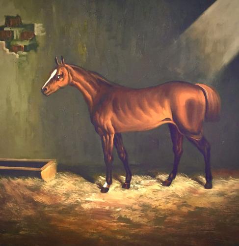 Reader photos: Horses | Features | postandcourier.com