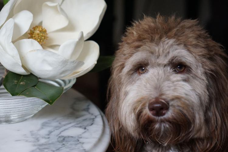 Reader photos: You captured some great "Southern Living" moments, now ...