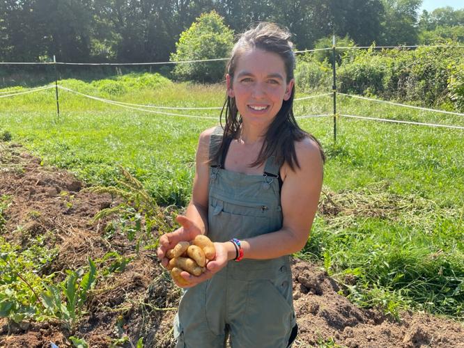 Spartanburg's Wild Roots Farm making a difference in food