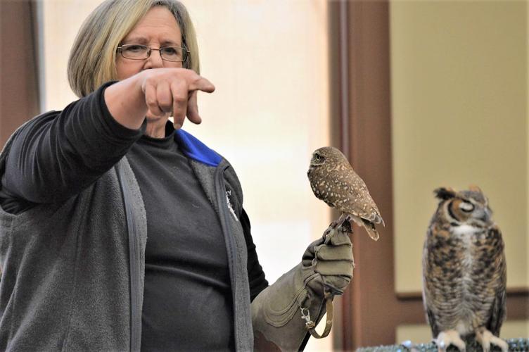 Lowcountry Raptors invade Hanahan Library | News | postandcourier.com
