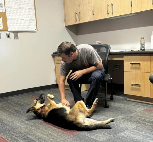 Meet Ember, Mauldin Fire's new therapy dog and teaching aid ...