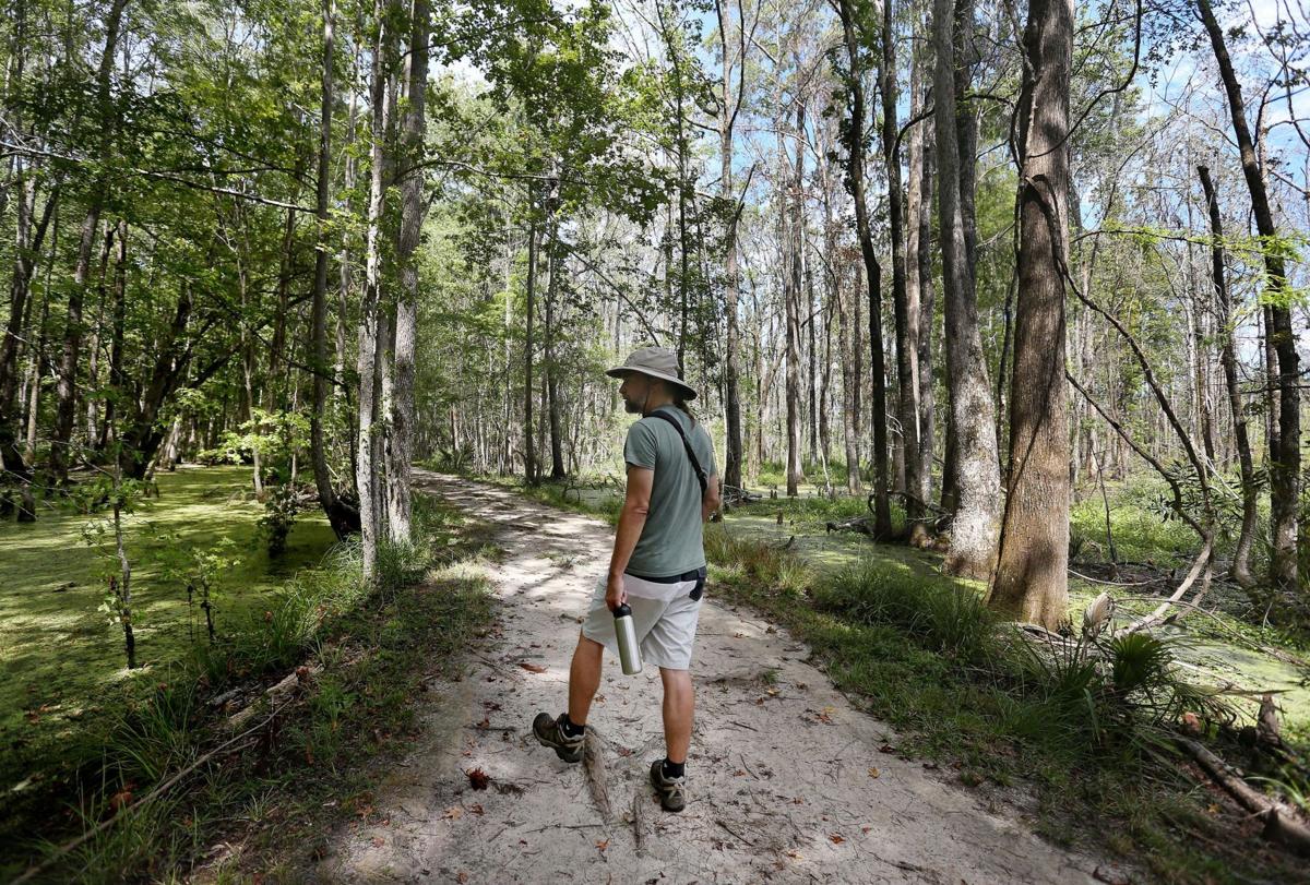 Caw Caw Center, a former plantation site with centuries of history ...