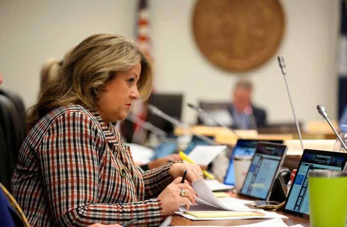 Rocks for jocks meets critical race theory at S.C. Statehouse ...