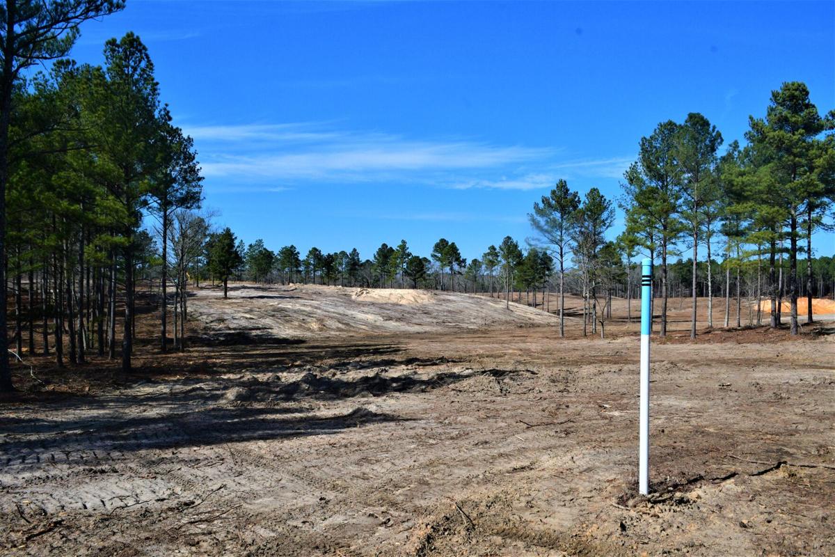 'A cool opportunity': The Tree Farm comes to life thanks to pro golfer ...