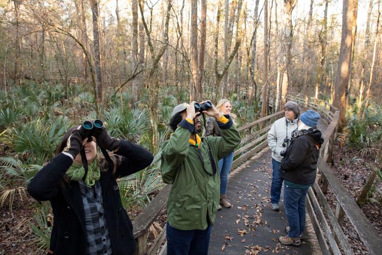 Audubon’s Christmas Bird Count brings out SC birders