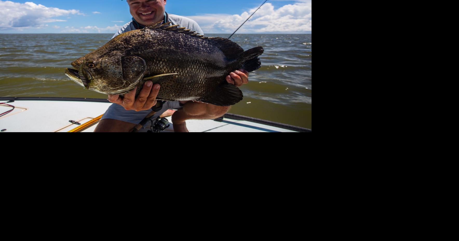 South Carolina sets new limits for Atlantic spadefish, tripletail