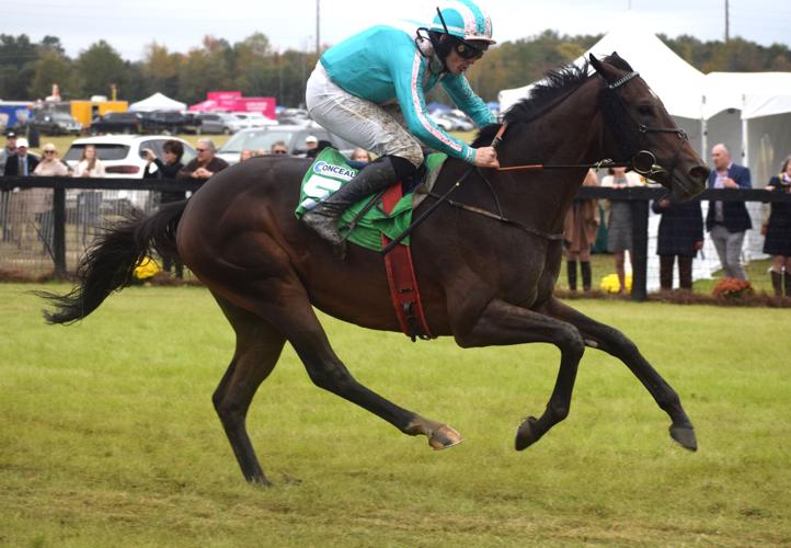 Topic Changer scores come-from-behind victory in $30,000 Holiday Cup