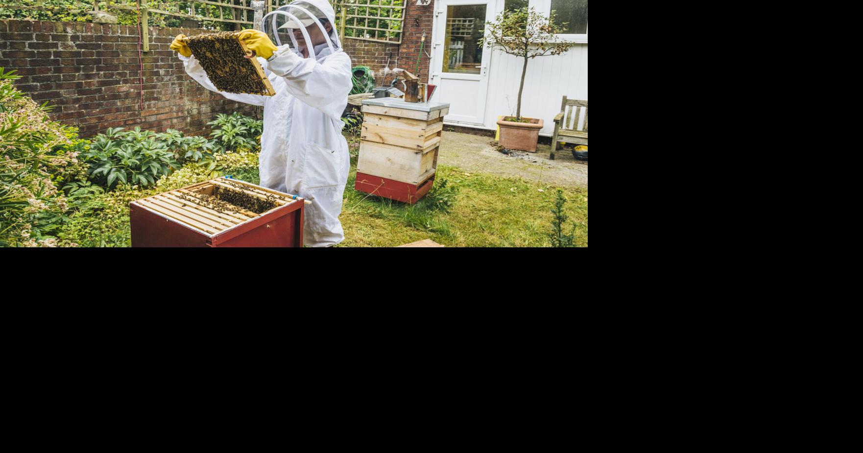 BOMMER'S BEES: Beekeepers should practice safety
