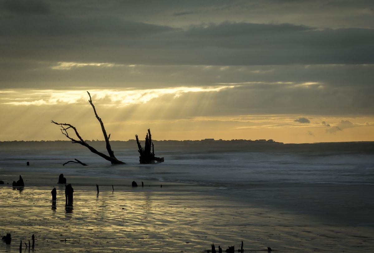 Photos: Archeologists discover two prehistoric shell ring sites at ...