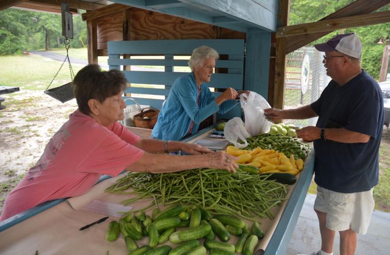 Aiken's Gartman farm feeds local families for four decades