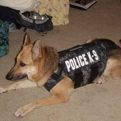 Hanahan police dog Shadow dies during training