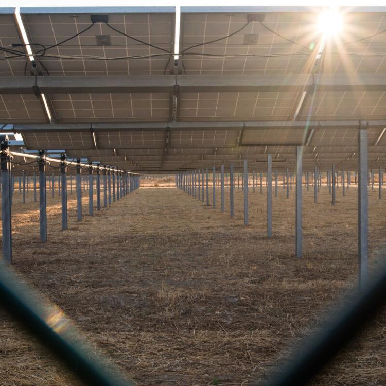 Berkeley citizens speak out against large solar farm