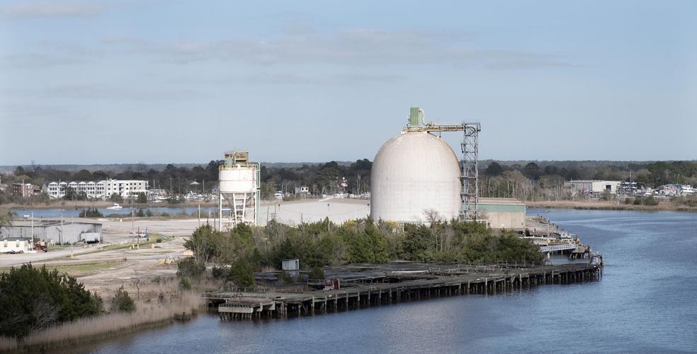 Officials discuss future of Georgetown port and IP property