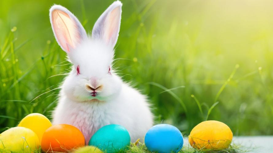 Hop on over for some excellent Easter events in the Charleston area ...