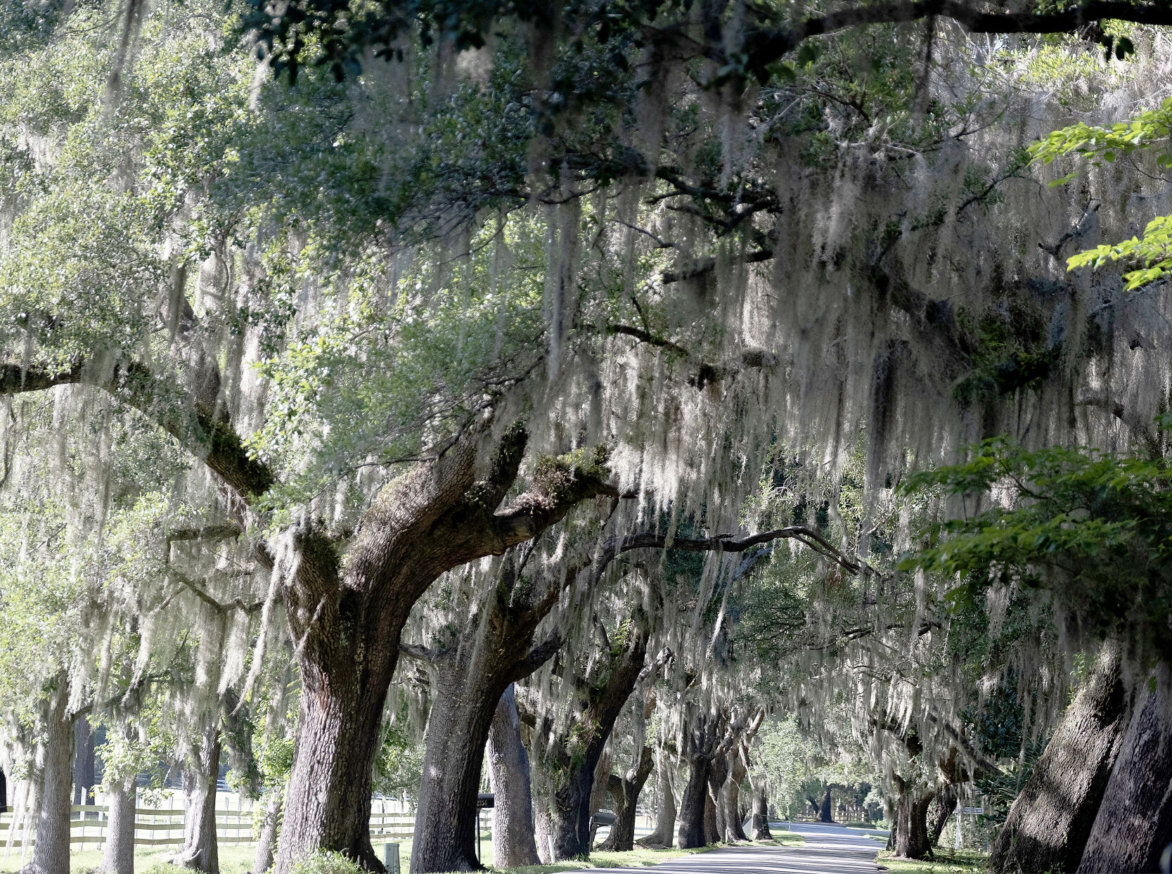 Waccamaw Neck incorporation effort faces policing roadblock