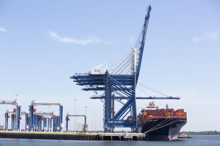 Maritime industry in knots over potential dockworkers strike | Business ...