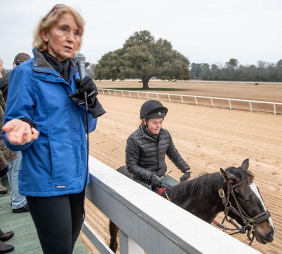 Suzy Haslup has a passion for horses