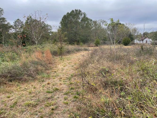 Pacolet plans for new park moving forward with design effort