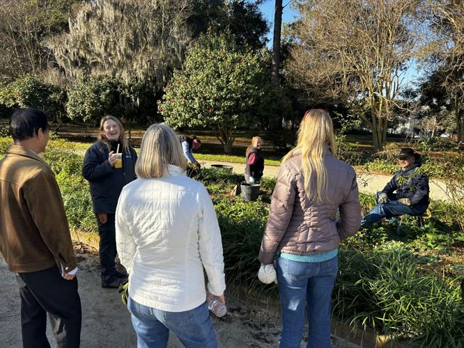 Charleston parks thrive under greenhouse volunteers