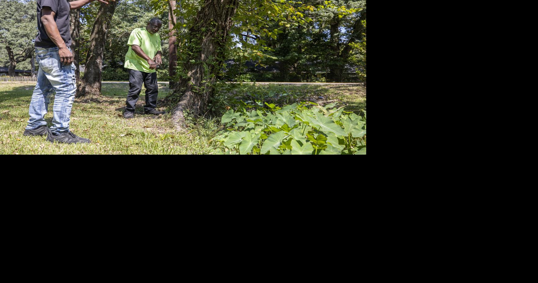 Who to contact when ditches get clogged with debris