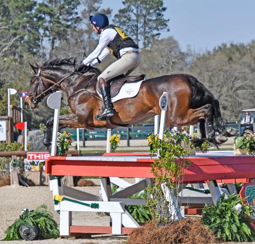 standardbred jumping