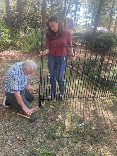 PHRAGMENTS FROM PHYLLIS: Spring has sprung with beauty, activity | North Augusta Opinion ...