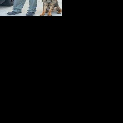 Memorial held for K9 officer Rico