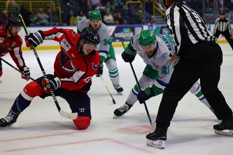SC Stingrays, Florida Everblades have long playoff history