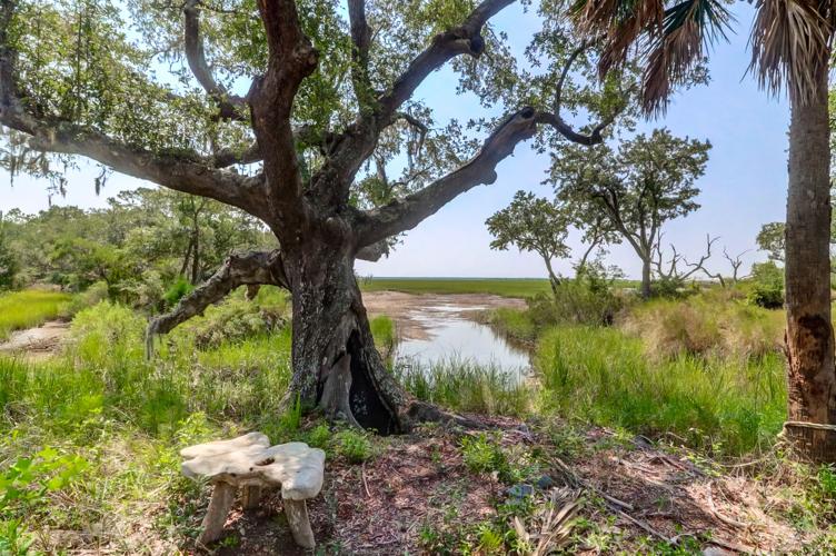 Awendaw and McClellanville: Settling into and seeking solace in natural ...