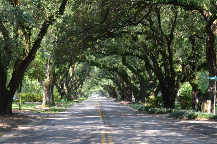 southern living names