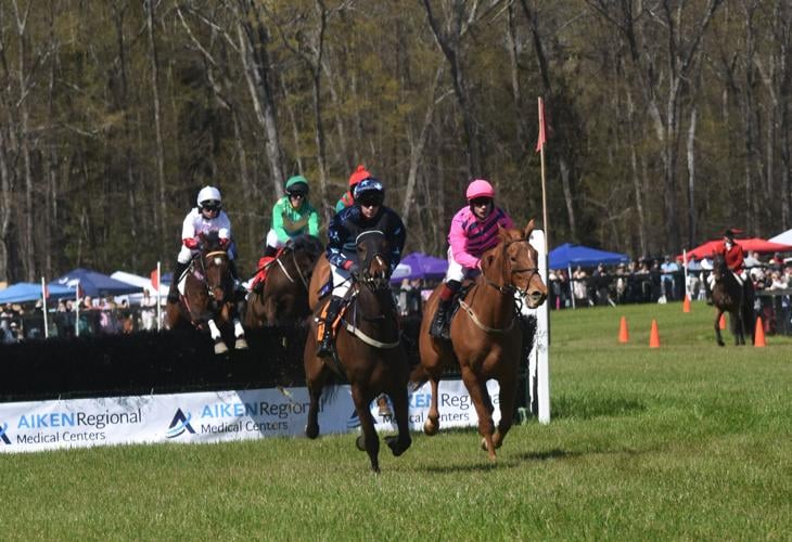 Aiken Spring Steeplechase returning Saturday with improvements for patrons