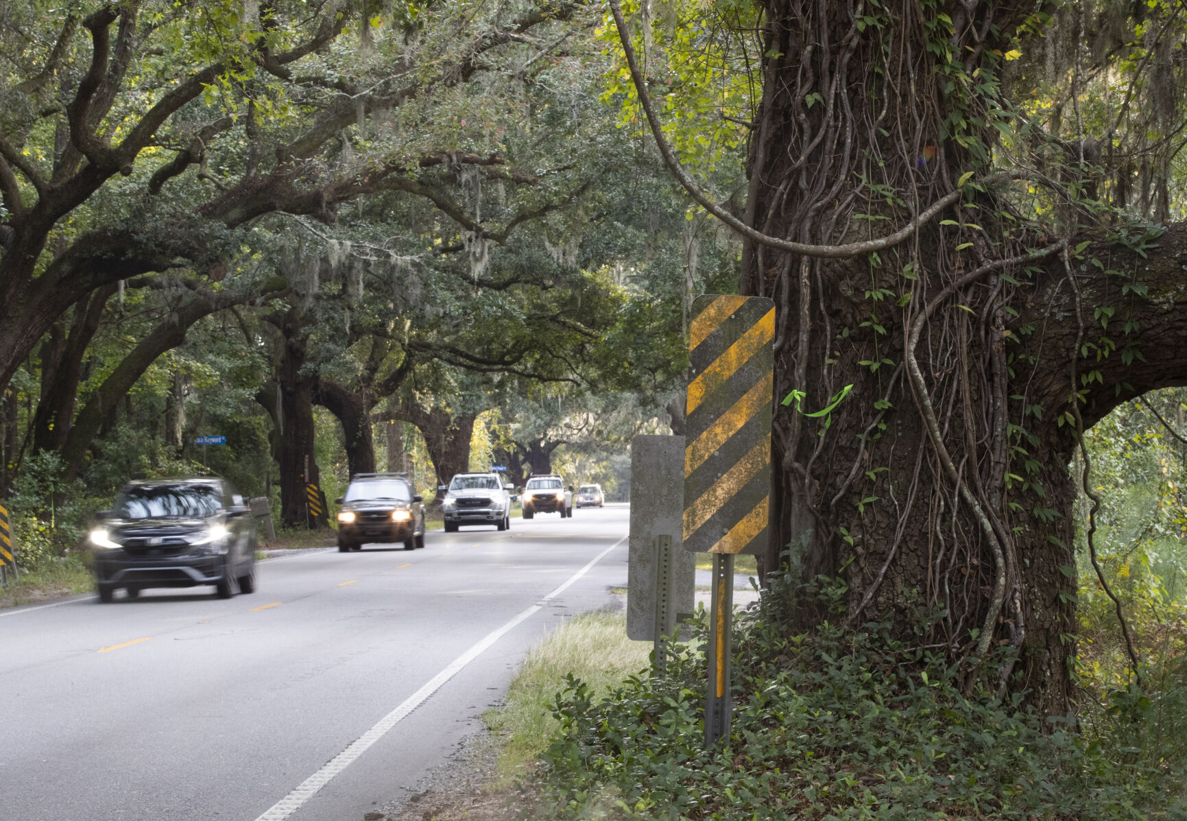 Amid funding crunch, unpopular Johns Island road plan stalls