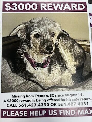 Trenton family looks for missing dog Max who has been with them through ...