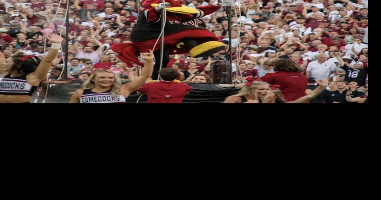 A new entrance for Cocky? Gamecocks' Todd Ellis drops a hint