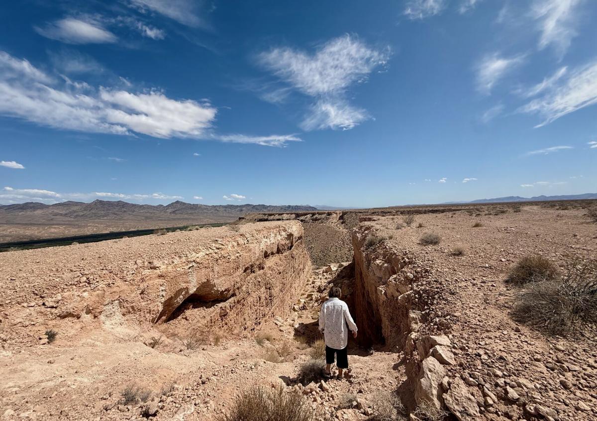 michael heizer double negative