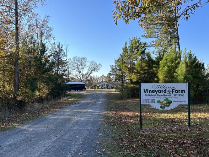 Williams Vineyard in Nesmith shares agricultural history