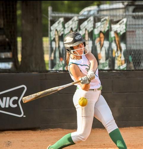 Varsity Stallions close softball season 13-14