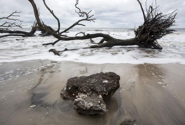 Photos: Archeologists discover two prehistoric shell ring sites at ...