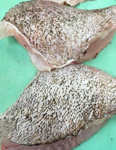 Chefs showcase lionfish cooking techniques at SC Aquarium JuLionfish ...