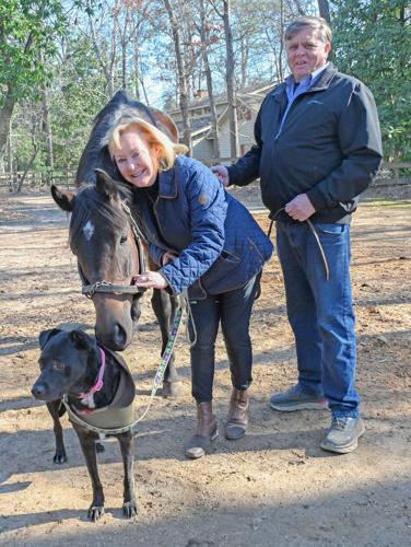 Rice enjoys success locally as steeplechase racehorse owner