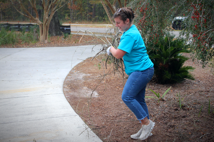 Trident United Way's 25th Days of Caring mobilizes 1,500 volunteers to ...