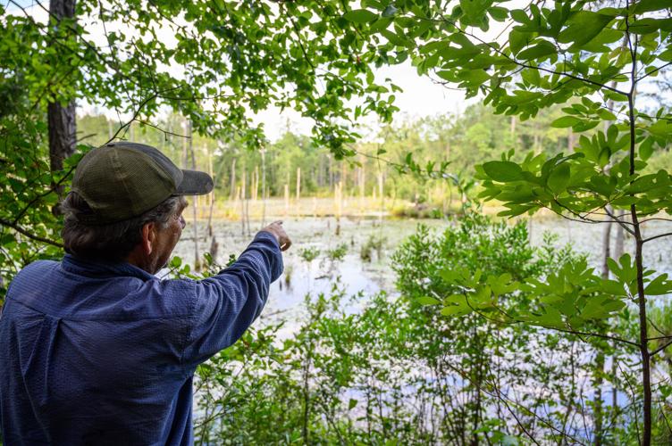 Lower Richland landowners fight development, push for nature preserve ...