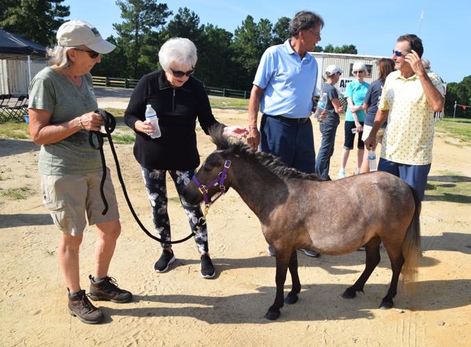 Equine Rescue of Aiken breaks ground for new rescue center at farm