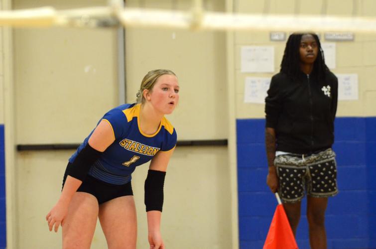 Horse Creek volleyball beats Hunter-Kinard Tyler